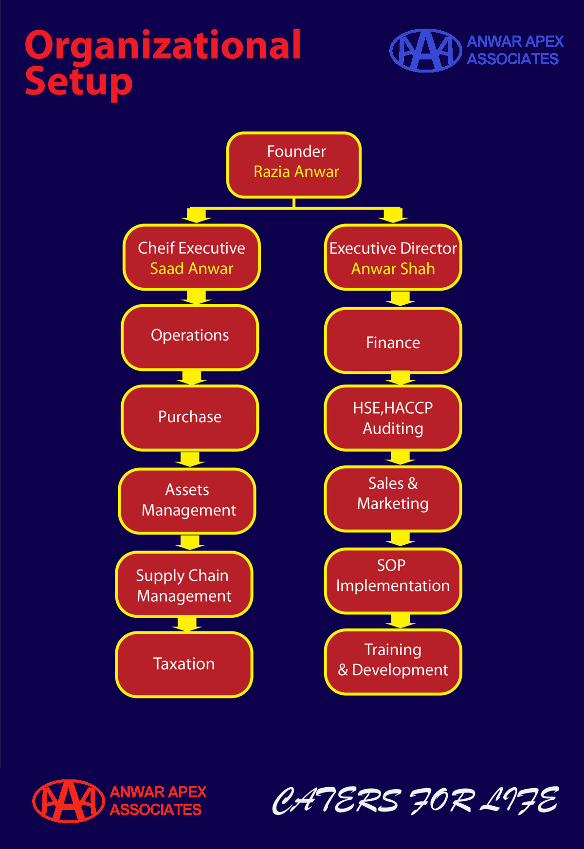 Organizational Setup – Anwar Apex Associates